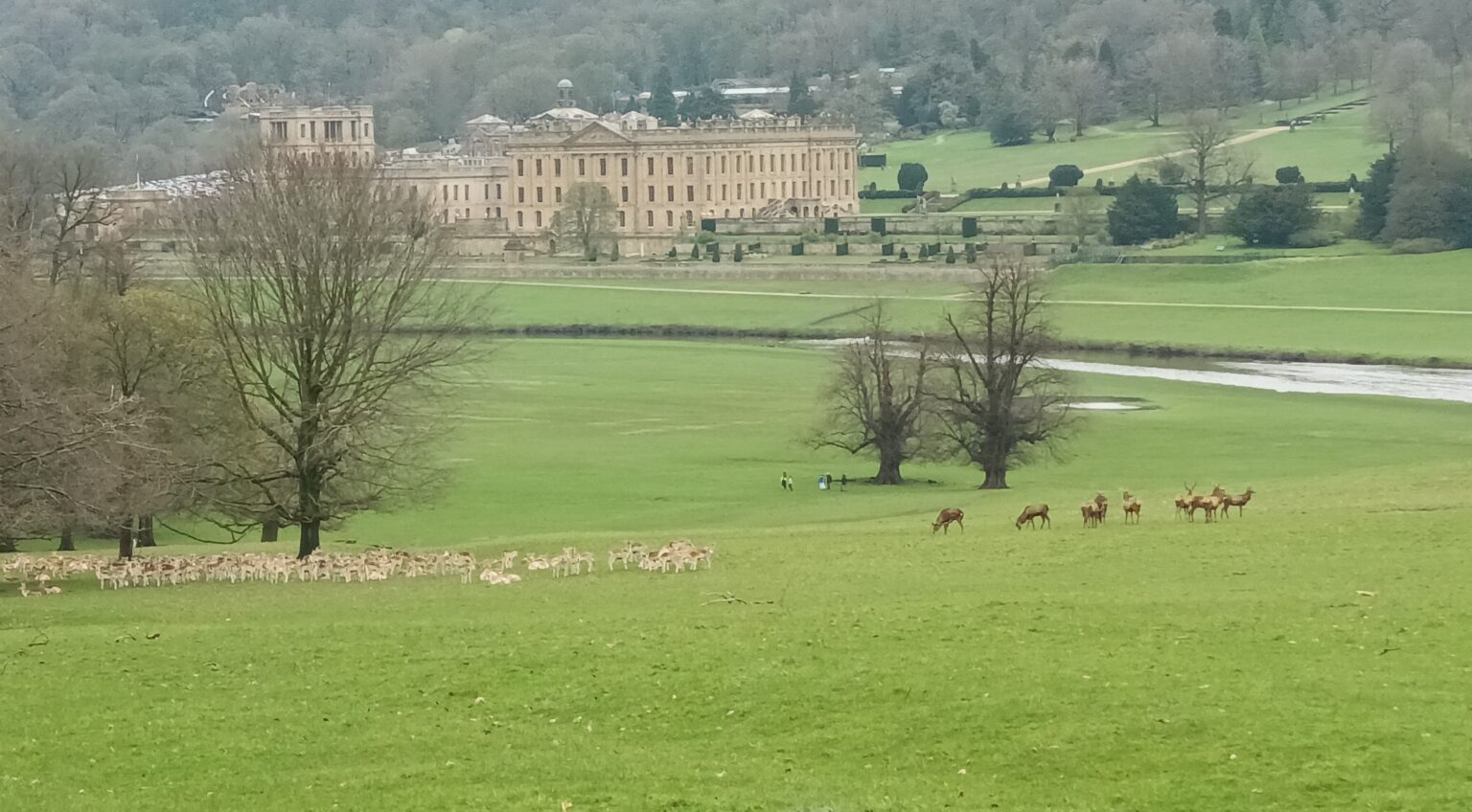 Chatsworth House Walk : 24th May 2025 - Peak District Mosaic